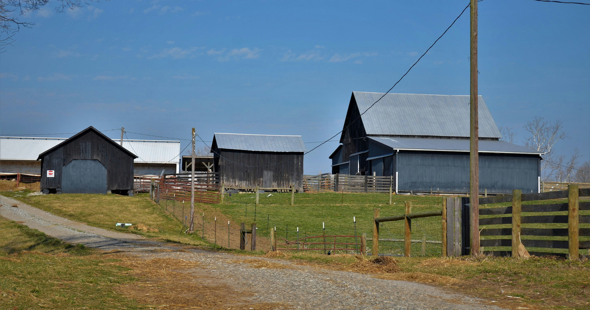 Ask the expert: Students in rural districts face challenges when ...
