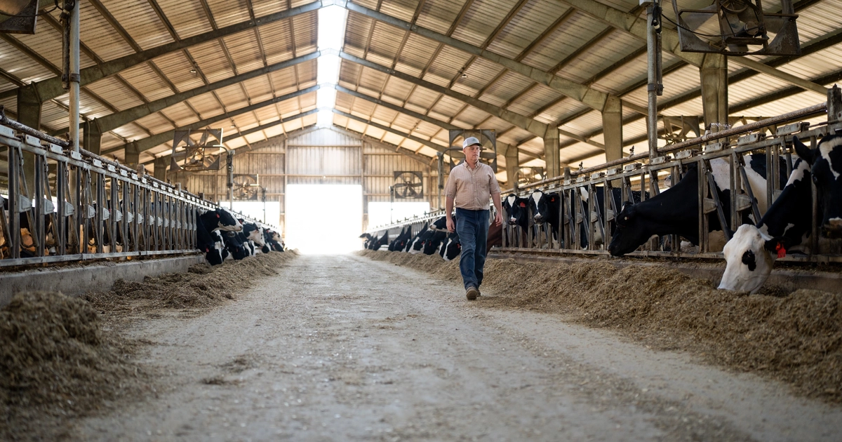 A once-in-a-generation discovery is transforming a Michigan dairy farm ...