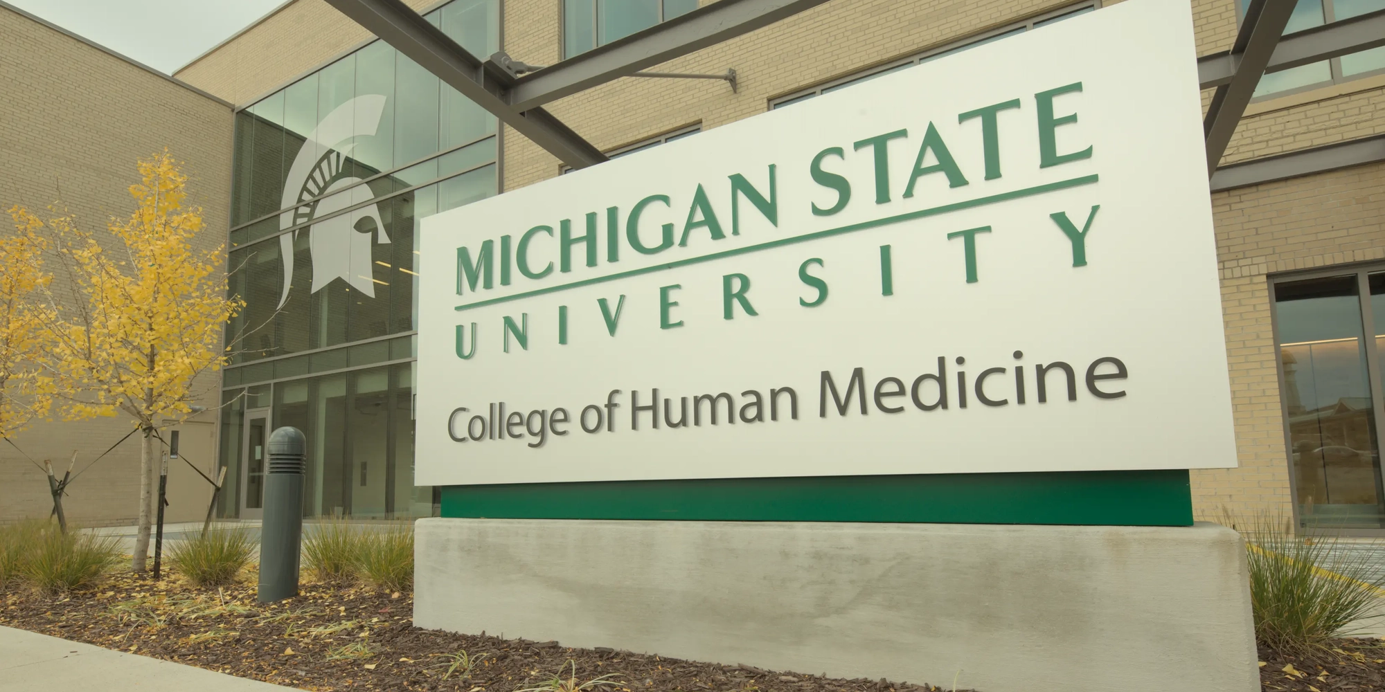 MSU pediatric researcher receives NIH Director’s Transformative ...