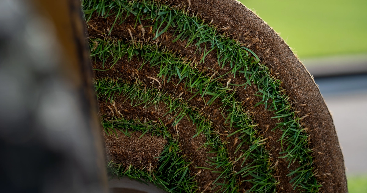 Meet MSU’s new crop of turfgrass experts | MSUToday | Michigan State ...