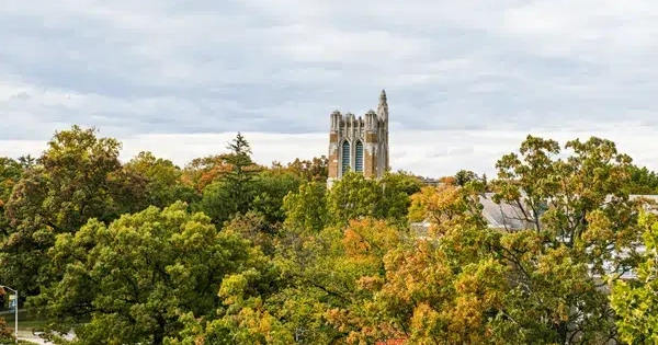 MSU assistant controller selected for prestigious national program ...