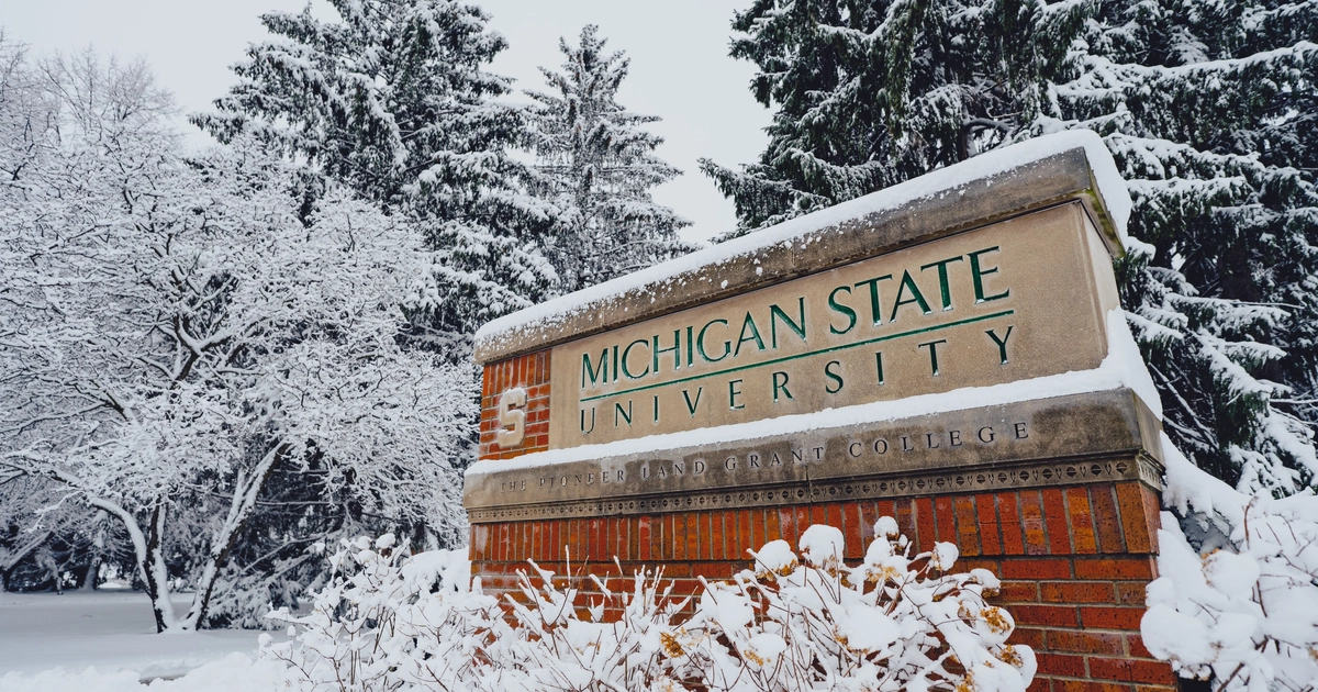 MSU boasts 3 academic disciplines among top 10 globally | MSUToday ...