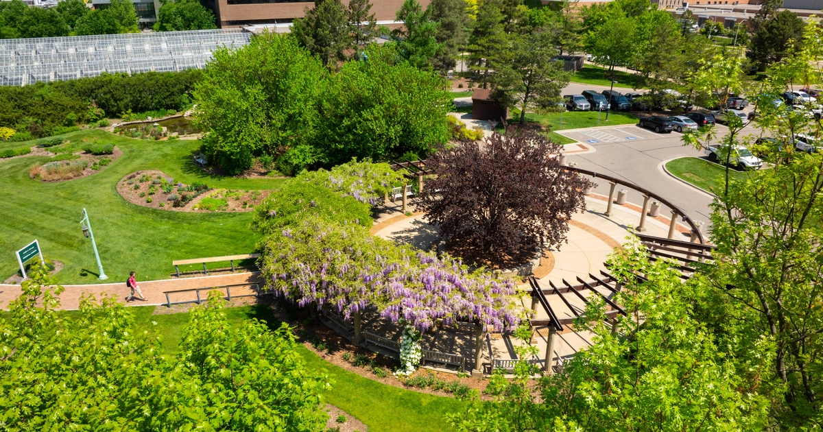 10 MSU faculty members earn University Distinguished Professor ...