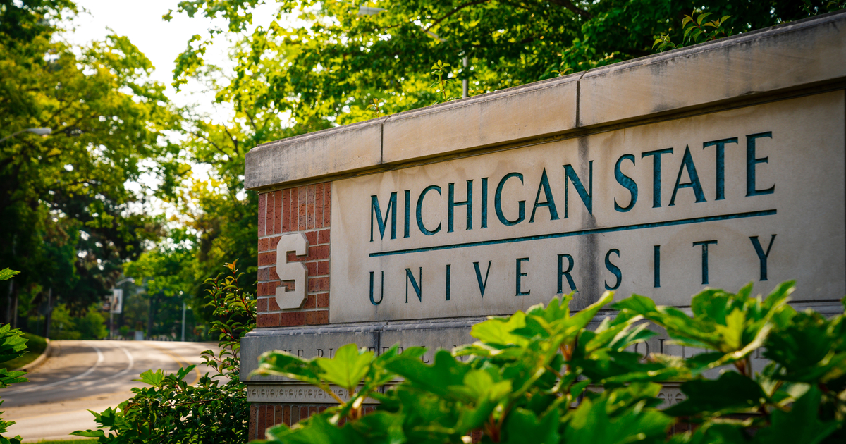 MSU physicists awarded Moore Foundation grants to advance quantum ...
